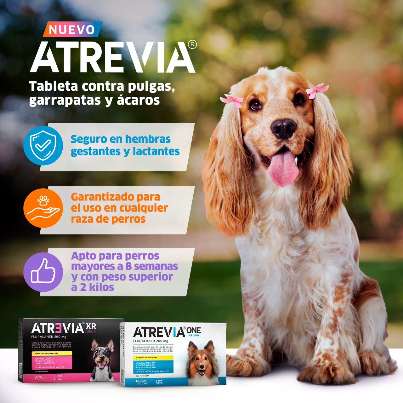 Atrevia XR - | Comida y Alimento para Perro y Gato Guatemala