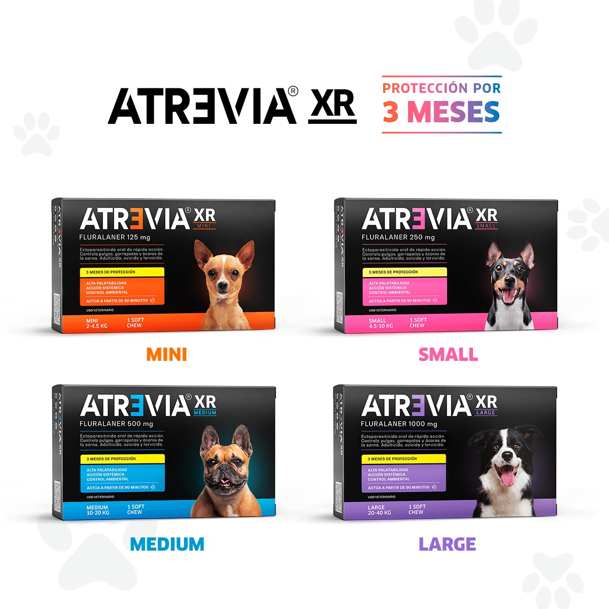 Atrevia XR - | Comida y Alimento para Perro y Gato Guatemala